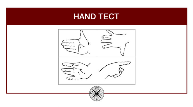 «HAND-TEST» - НИИ "Международное судьбоаналитическое сообщество"